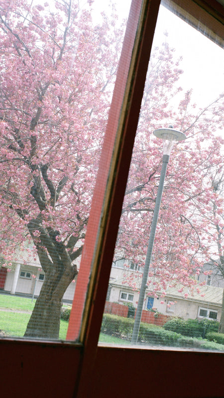 Welcome to the World of Jorum Studio - JORUM STUDIO