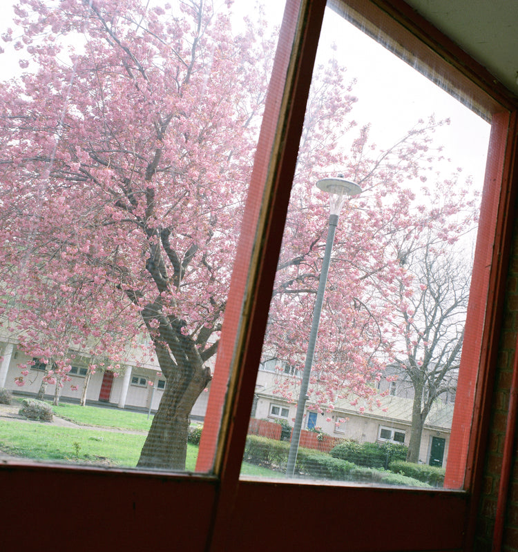 Welcome to the World of Jorum Studio - JORUM STUDIO