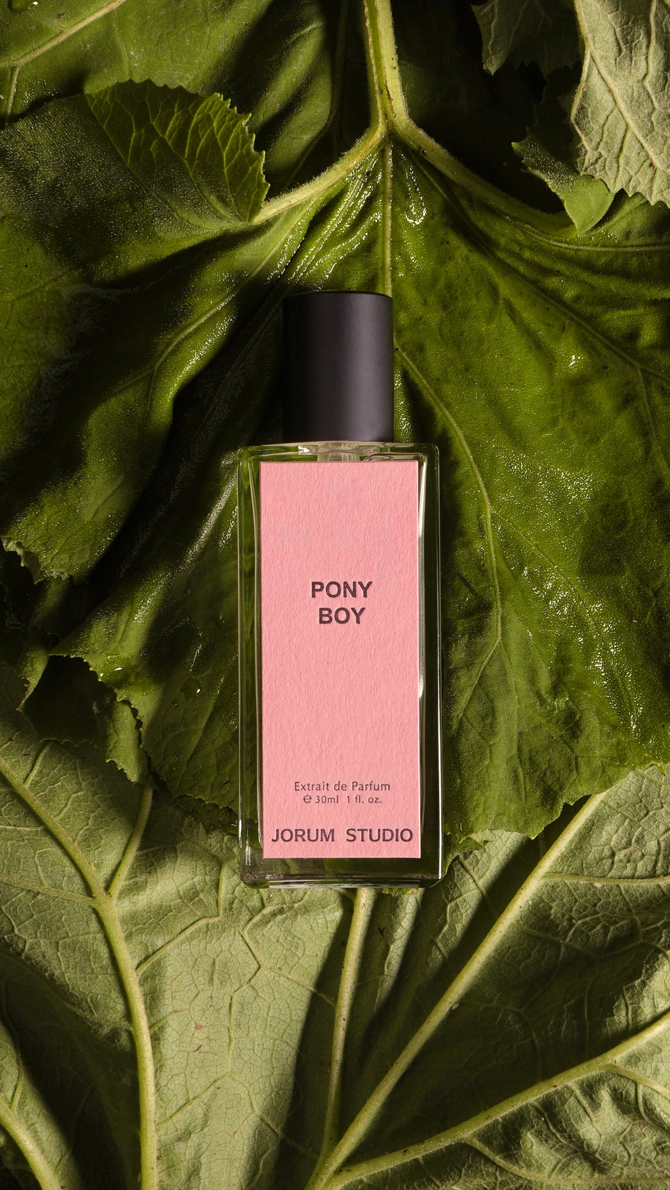 Scent Soundtracks: Pony Boy - JORUM STUDIO