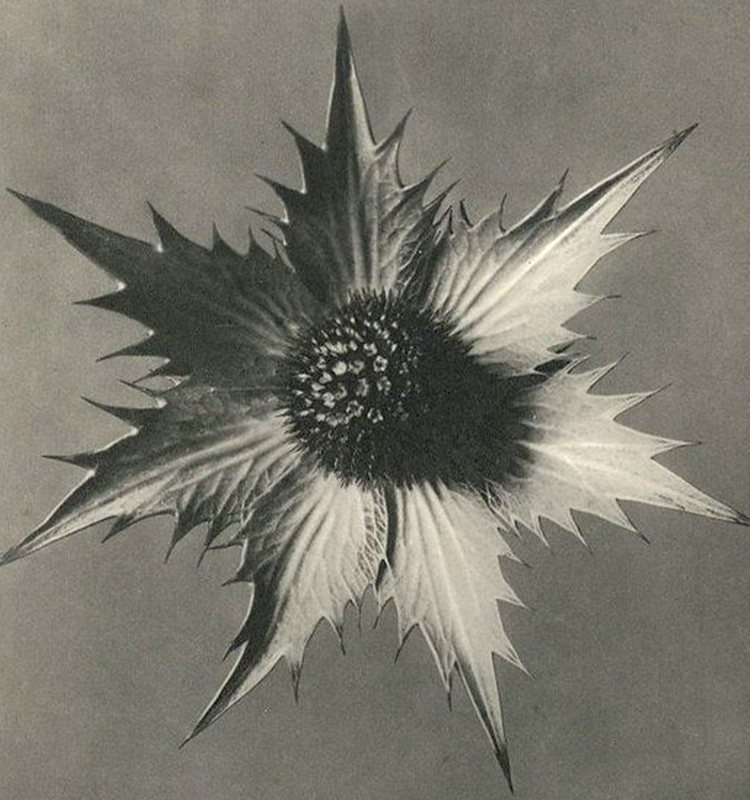 Welcome to the World of Jorum Studio - JORUM STUDIO