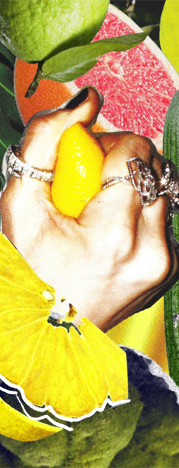 Paradisi: A Visual Journey - JORUM STUDIO