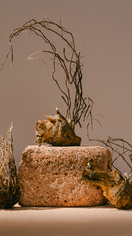 About Jorum Studio - Luxury Niche Fragrances - JORUM STUDIO