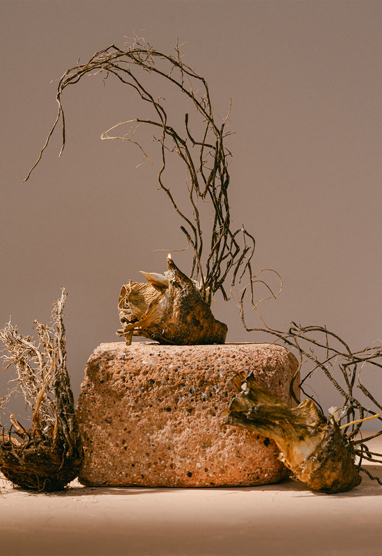 Welcome to the World of Jorum Studio - JORUM STUDIO