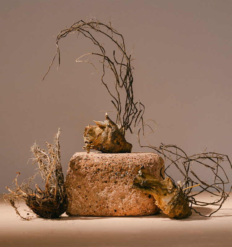 About Jorum Studio - Luxury Niche Fragrances - JORUM STUDIO