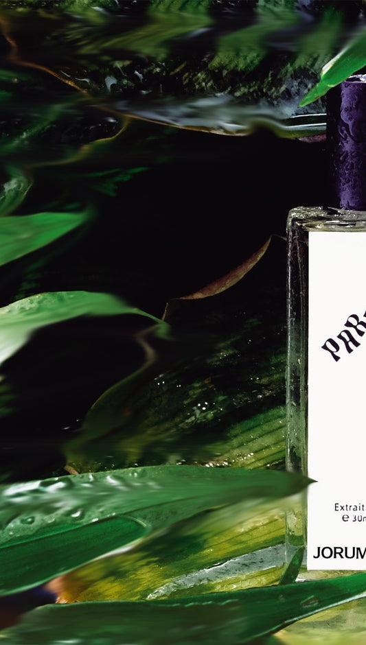 Scent Soundtracks: Paradisi - JORUM STUDIO