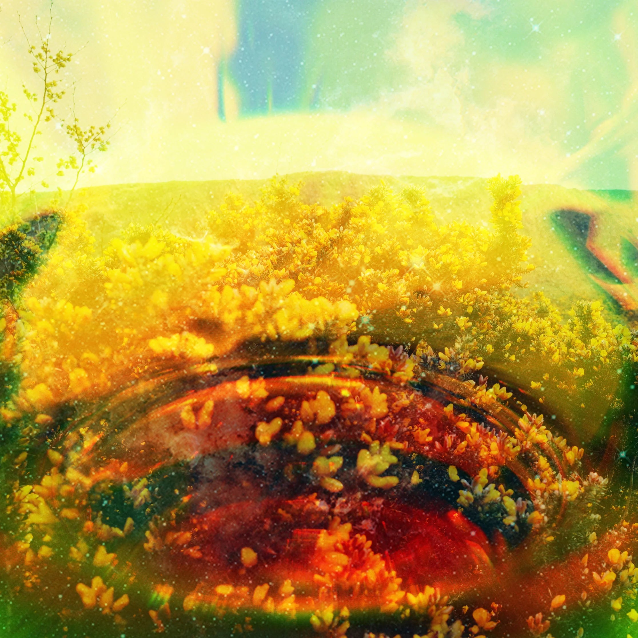 How (And Why) To Layer Your Perfume - JORUM STUDIO